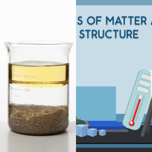 Lesson: Varying Densities of Materials SC.8.P.8.3 - Free Games and ...